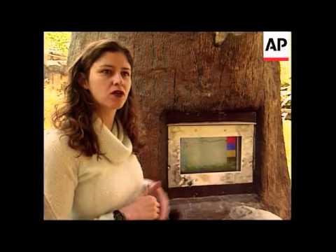 Orangutans use computers at US zoo