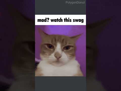 Discord Gifs In A Nutshell Clip 2 (#shorts)