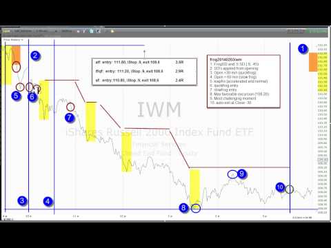 frog20140203iwm series case study