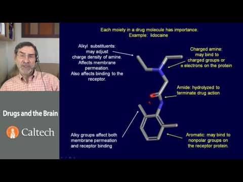 Drugs and the brain: Introductory_concepts (What is a drug) week 2 part 1