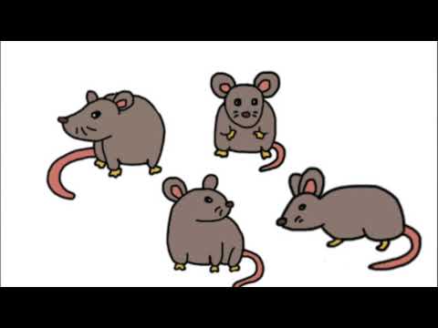 Commensal Bacteria E resource