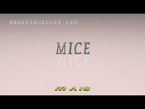 mice - pronunciation