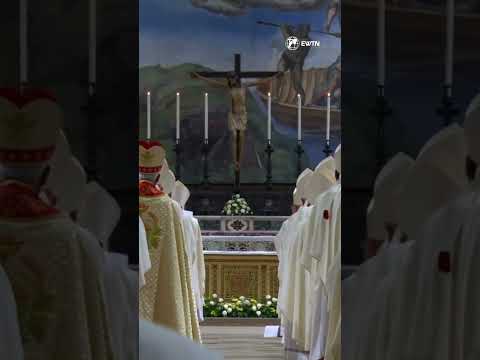 Regina Caeli ~ Pope Leo XIV #jesus #catholicchurch #latin #mary