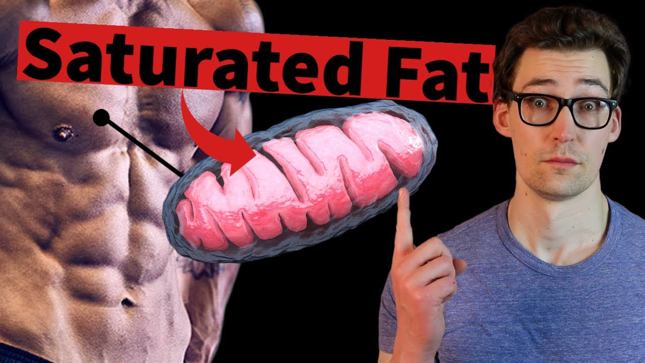 Saturated Fat and its Role in Muscle Mitochondria Dysfunction [Study 27]