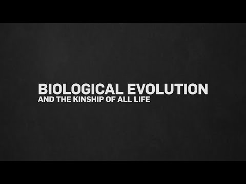 Biological Evolution and the Kinship of All Life