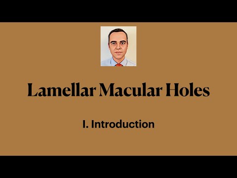 Lamellar Macular Holes. I. Introduction