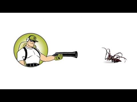 Tick and Mosquito Control - Mosquito Squad