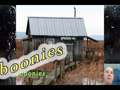 132. English lesson. SLANG. BOONIES | TO HAVE BIGGER FISH TO FRY