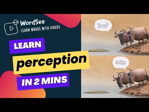 Learn the word perception in two minutes - Improve your English vocabulary with real world examples.