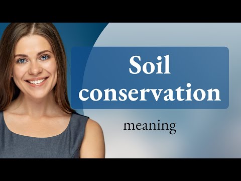 Soil Conservation: Safeguarding Our Future