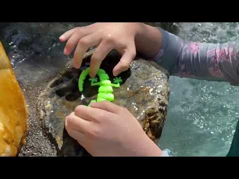 3D Printing a Green Lizard | STL File link