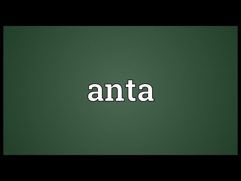 Anta Meaning