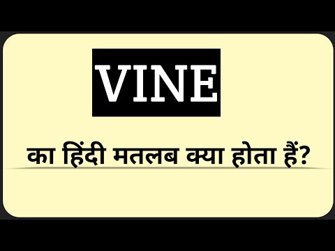 Vine को हिंदी में क्या कहते हैं?|| Vine Ka Hindi Matlab Kya Hota Hain|| Only English