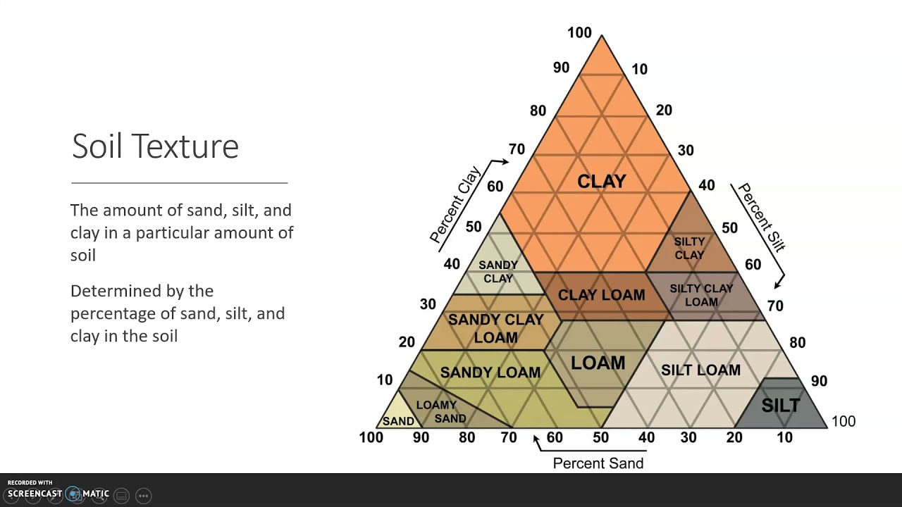 Soil Size, Texture, and Structure