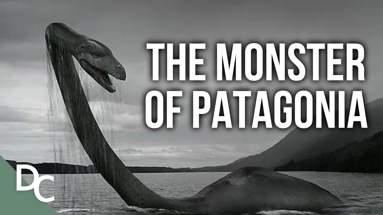 Pop Cryptid Spectator 14 – Sharon A. Hill