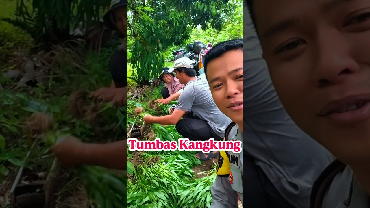 Tumbas kangkung bu alhamdulilah 🤲🏻 #polisisambang #bhabinkamtibmas