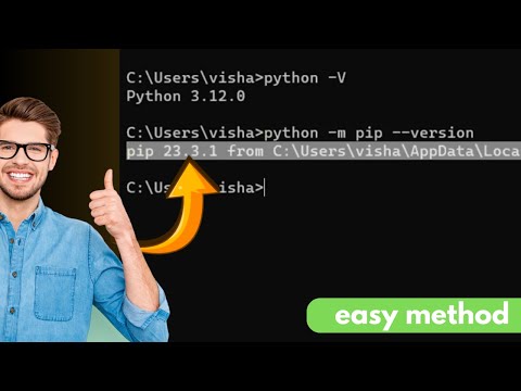 How to Check if PIP is Installed in Python - Windows 10/11 (2023)