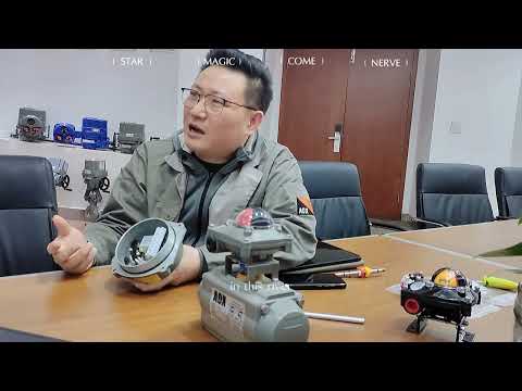 AOX Limit Switch Box