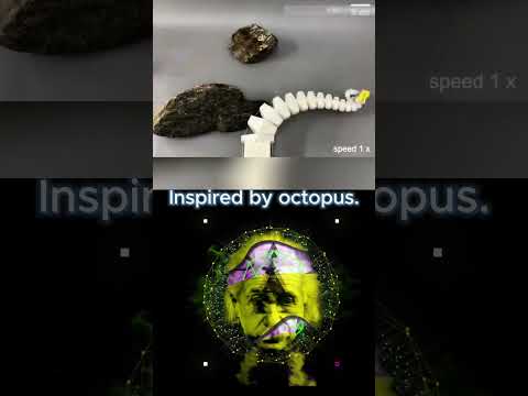 This Robot Moves Like an Octopus! 🤯