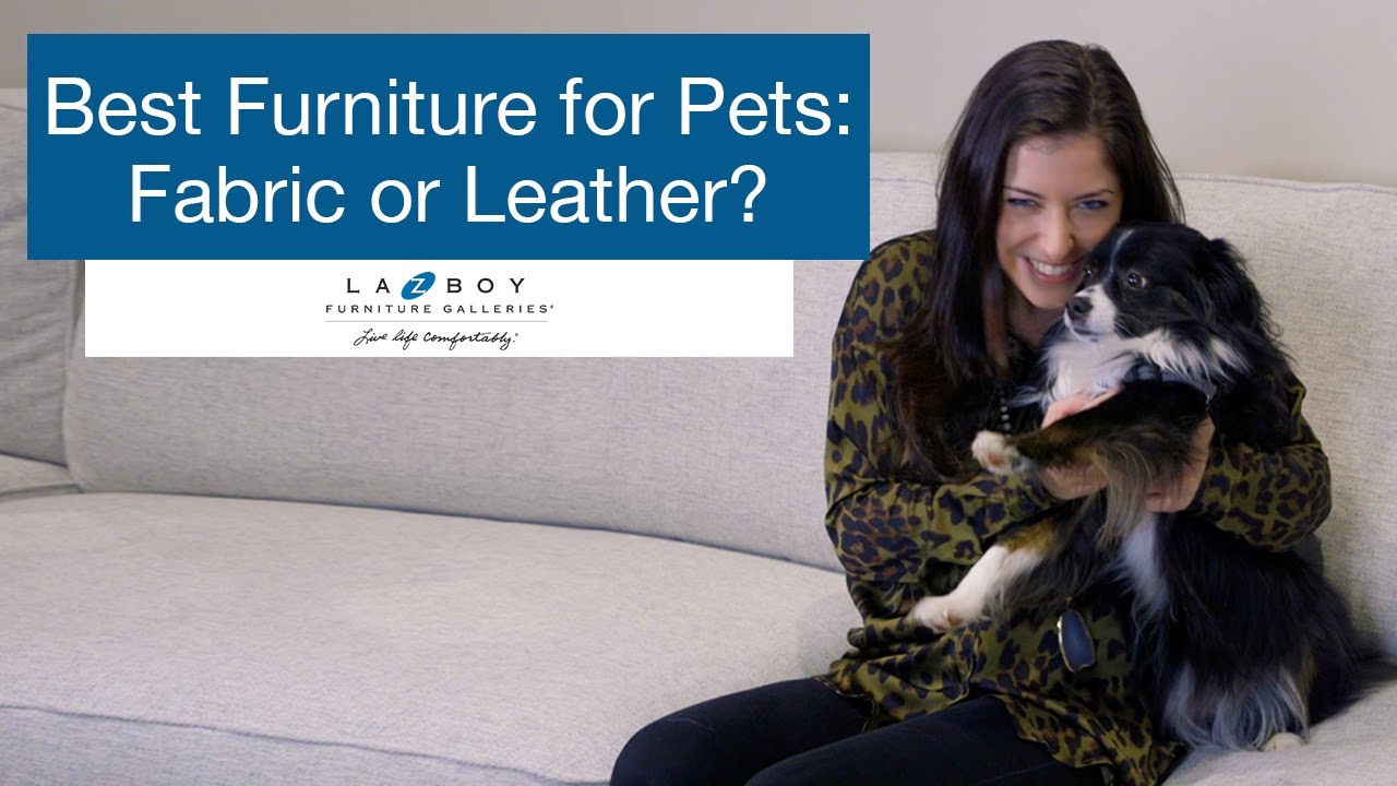 Best Furniture for Pets: Leather or Fabric?