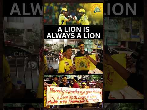 "Win or Lose a Lion is always a lion" | CSK vs KKR Public Review #csk #cskvskkr