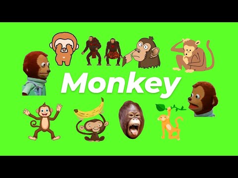 Animated Monkey GIF Green Screen Pack (Free Download)