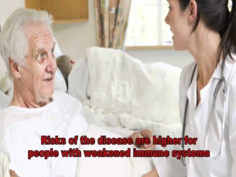 Mycobacterium tuberculosis