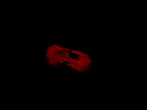 4D imaging of a lagging chromosome during anaphase-I in a mouse oocyte