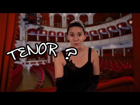We Love Opera! Who is the tenor at the opera?