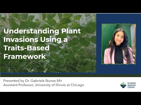 Understanding Plant Invasions Using a Traits-Based Framework