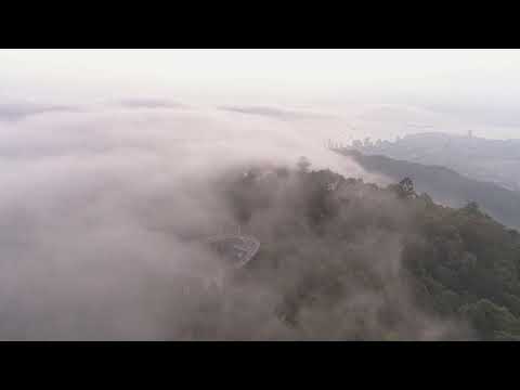 The ecosystems of the proposed Penang Hill UNESCO Biosphere Reserve