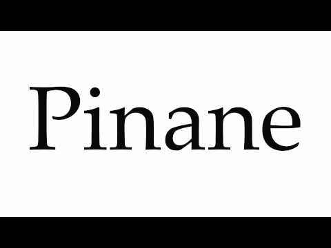 How to Pronounce Pinane