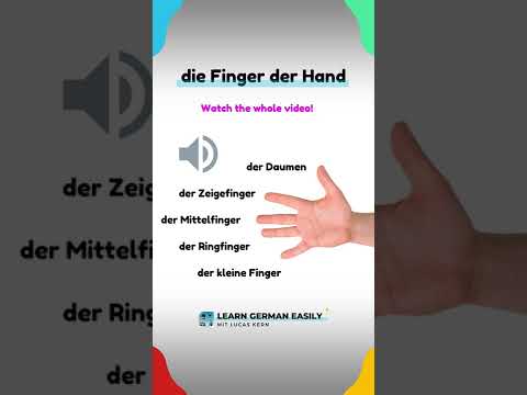 die Finger der Hand 👍👉🖕 German Vocabulary