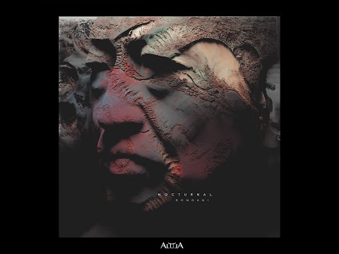 Lampé - The owl (Bongani Remix)[Official audio]
