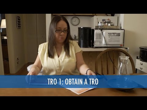 What Do I Need to Obtain a Temporary Restraining Order? (TRO 1/4)