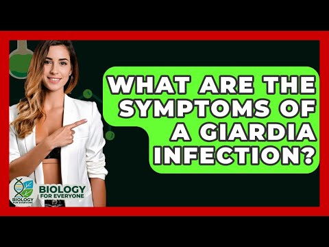 What Are The Symptoms Of A Giardia Infection? - Biology For Everyone