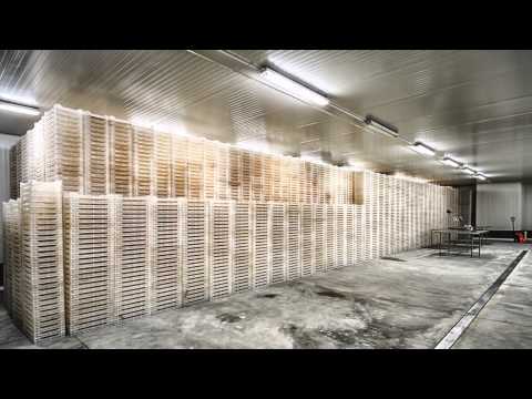 Toyota Material Handling | Forklifts in Extreme Climates