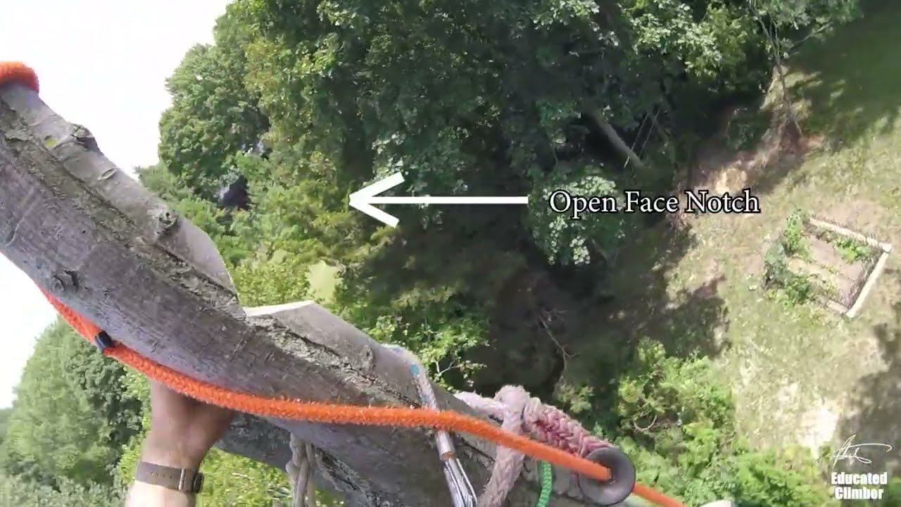 Tree work, rigging tops, basic concepts