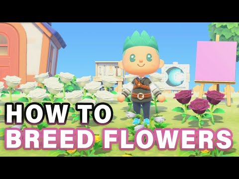 ACNH: How To Breed Flowers | GAMERS DECIDE