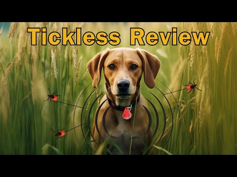 Tickless: The Ultimate Flea & Tick Solution? Our In-Depth Review & Real Results