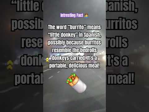 🌯 **The Surprising Origin of Burritos: Little Donkeys and Big Flavors!** #Burrito_Love #Food_History