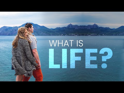 What Is Real Meaning Of Life?