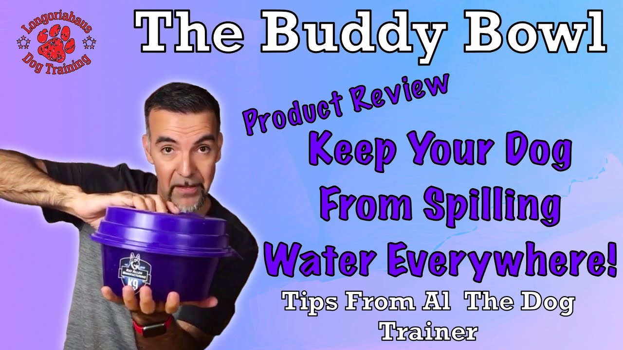 Stop Your Dog From Spilling Water | Buddy Bowl Review- Tips From Al The Dog Trainer