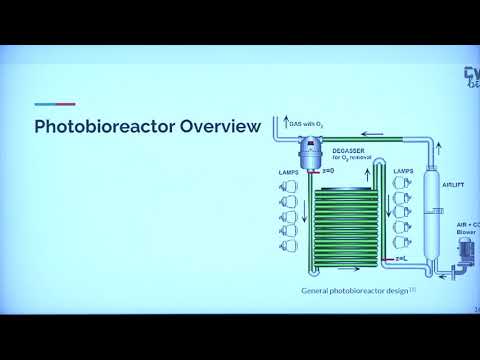 Continuous Process for Production of Bioethanol from Modified Cyanobacteria Using a Photobioreactor