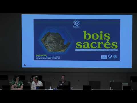 Journées d'études internationales sur le bois – C'Chartres Archéologie