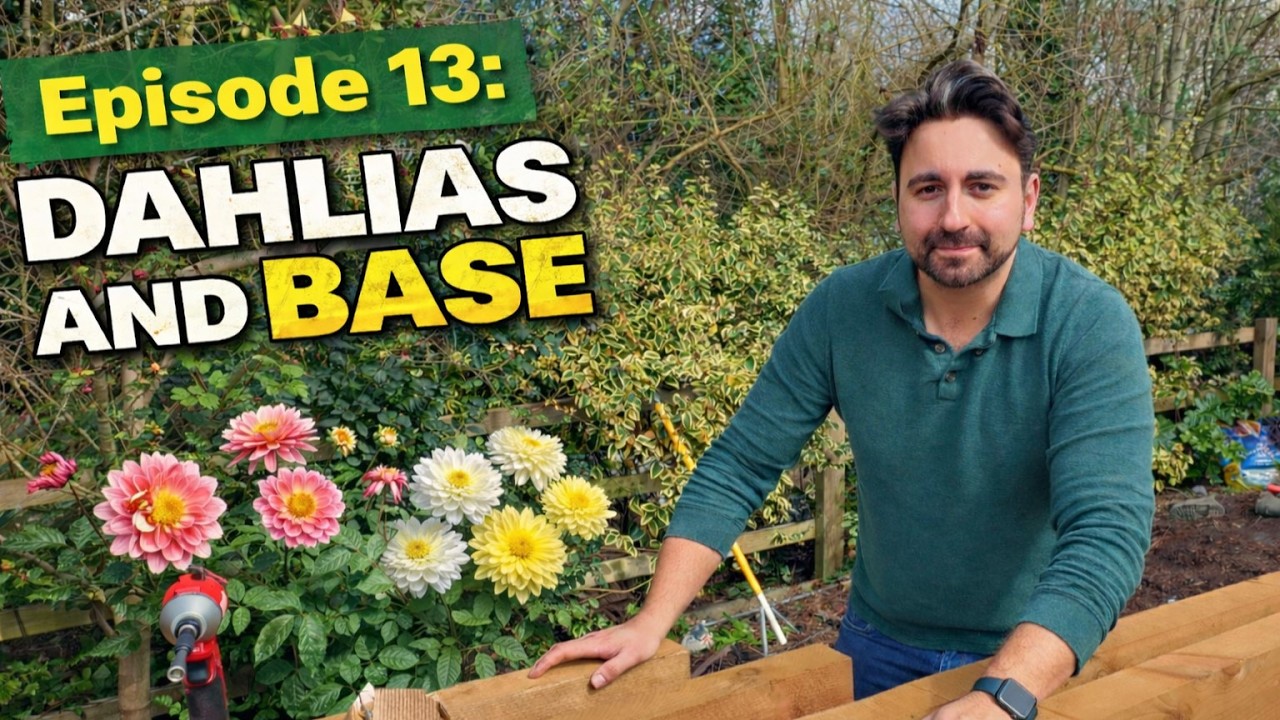 Today in the Garden | Episode Thirteeen: Dahlias and Base