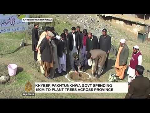Pakistan: Planting Trees | Kevin's Walk on the Wild Side