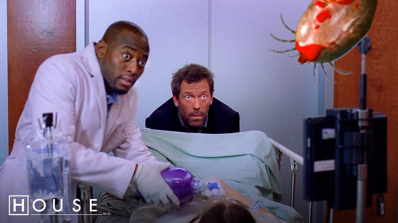 Finding a Tick in Her...What?! | House M.D.
