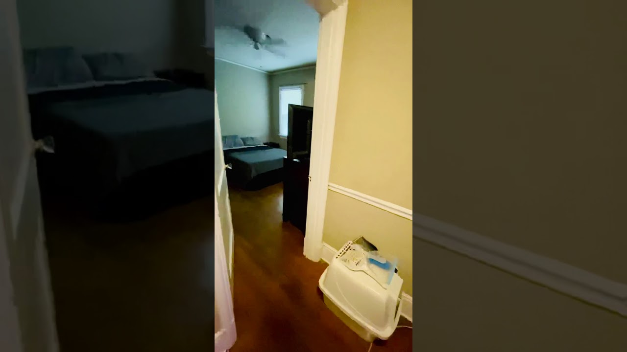 509 Mulberry 5