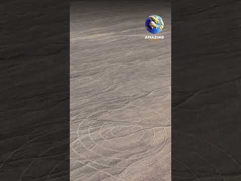 Mysterious Pattern in Nevada on Google Maps